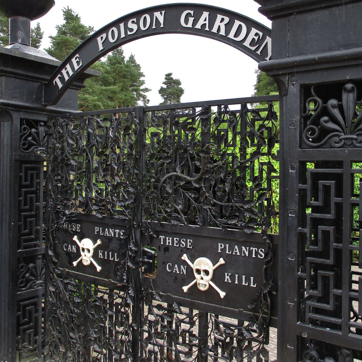 The Poison Garden at Alnwick Castle in Northumberland, England.
