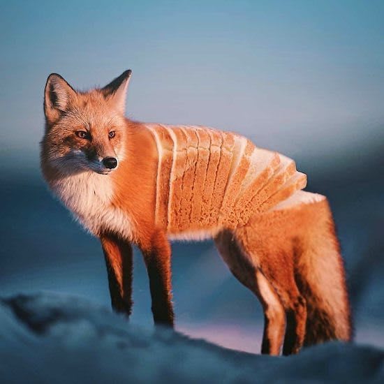 Coffee Break on Tumblr