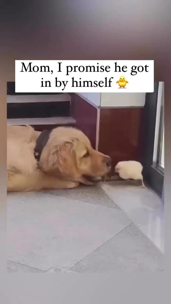 Please mommy believe me 🥺