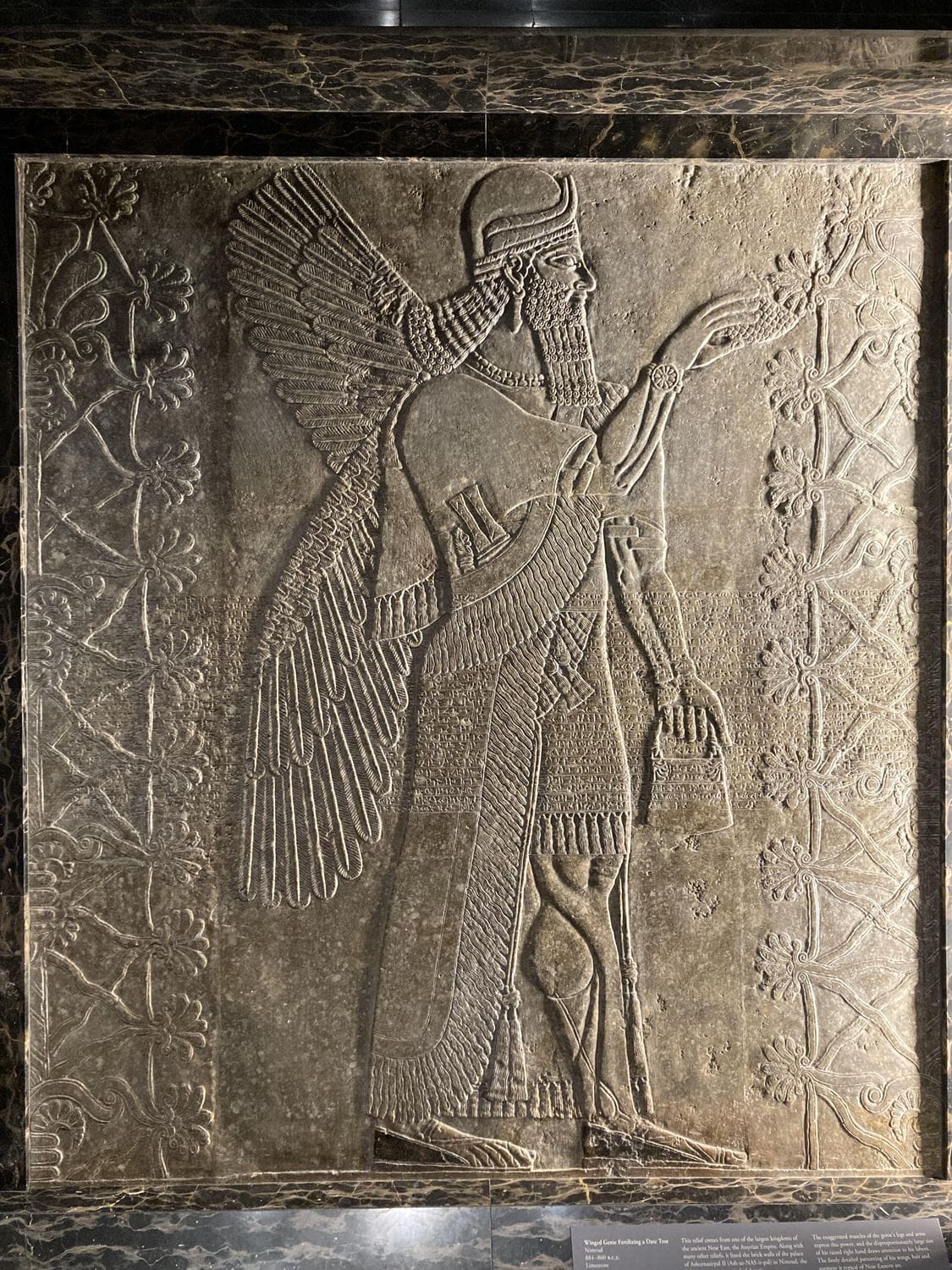 Winged genie fertilizing a date tree, from the Palace of Ashurnasirpal ...