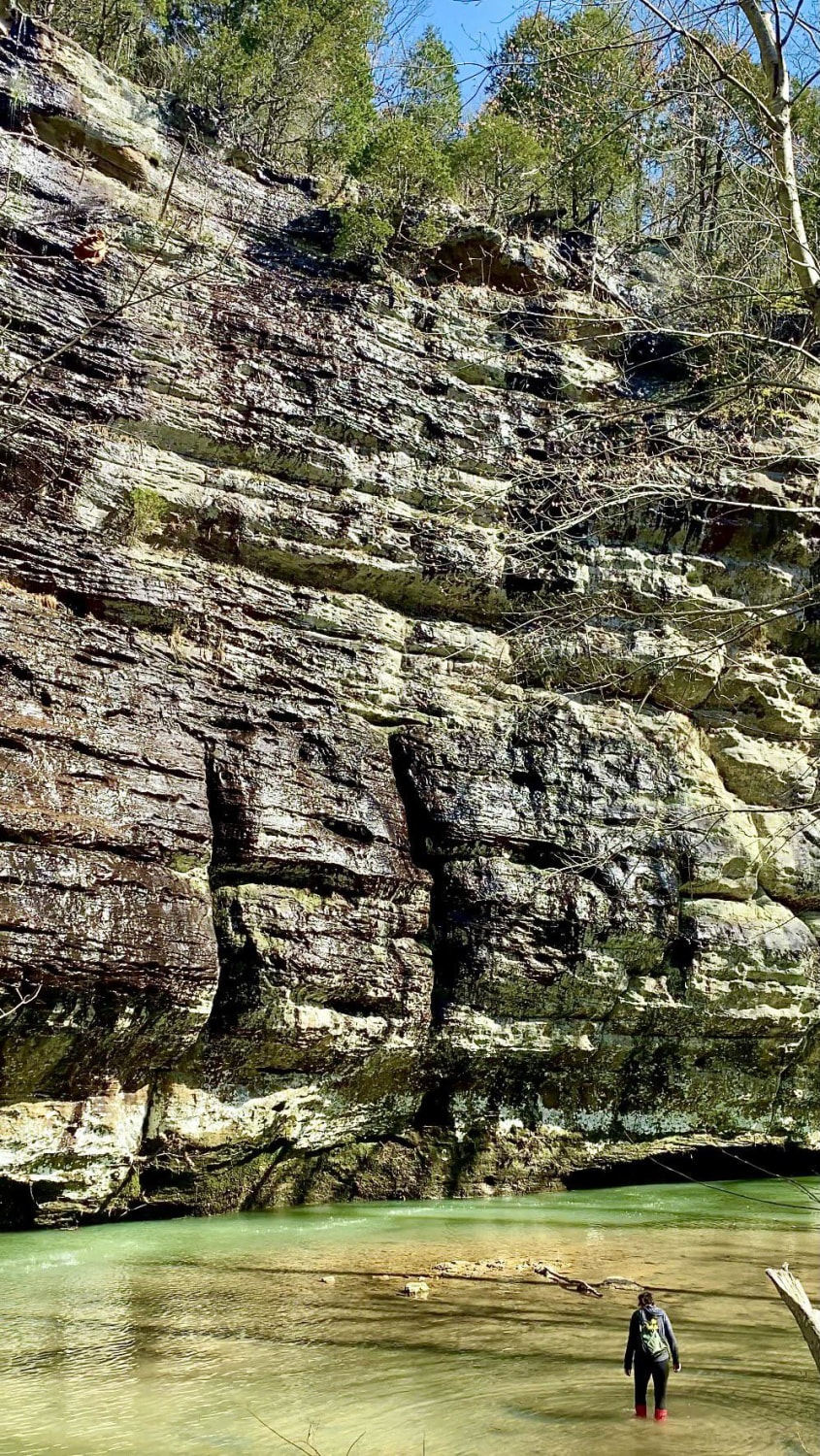 The wife and I found this hidden gem in Southern Illinois the other day ...