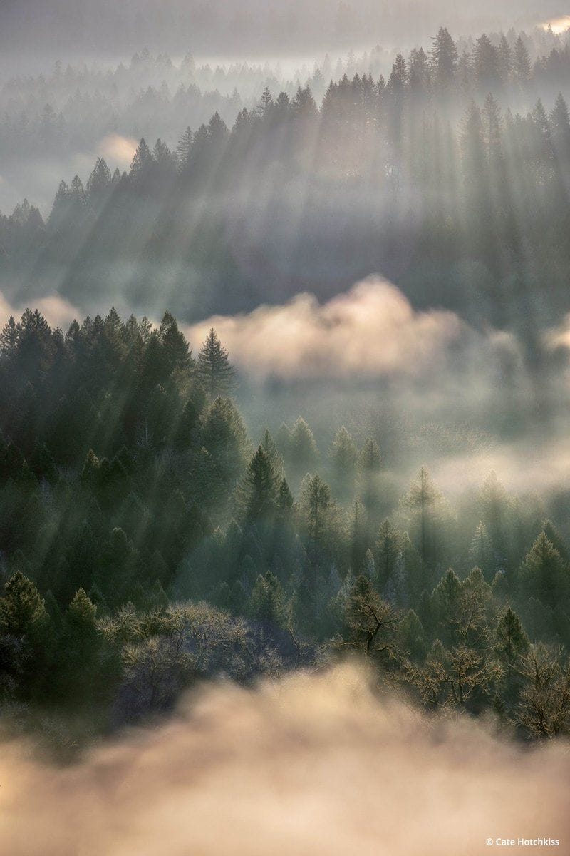 Photo Of The Day: “Of Fog and Light” by Cate Hotchkiss. Location: Mt ...