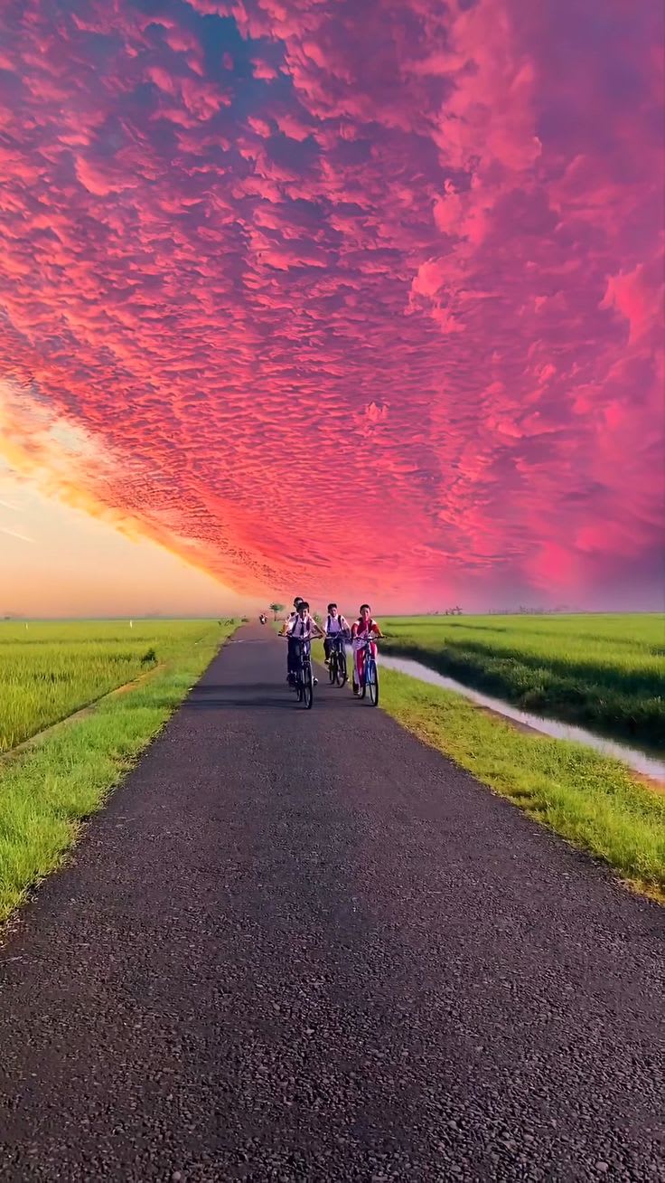 Beautiful Nature View | Beautiful scenery nature, Natural scenery ...