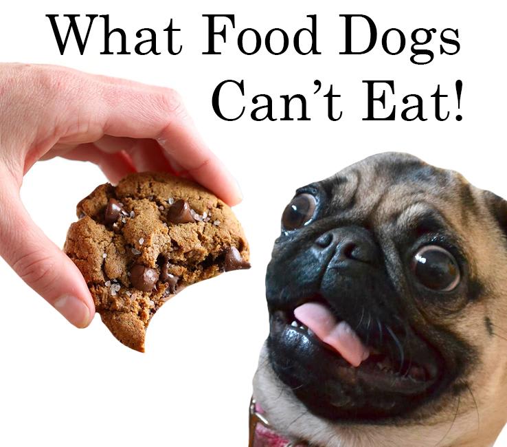 Food Dogs Can t Eat food-dogs-can-t-eat