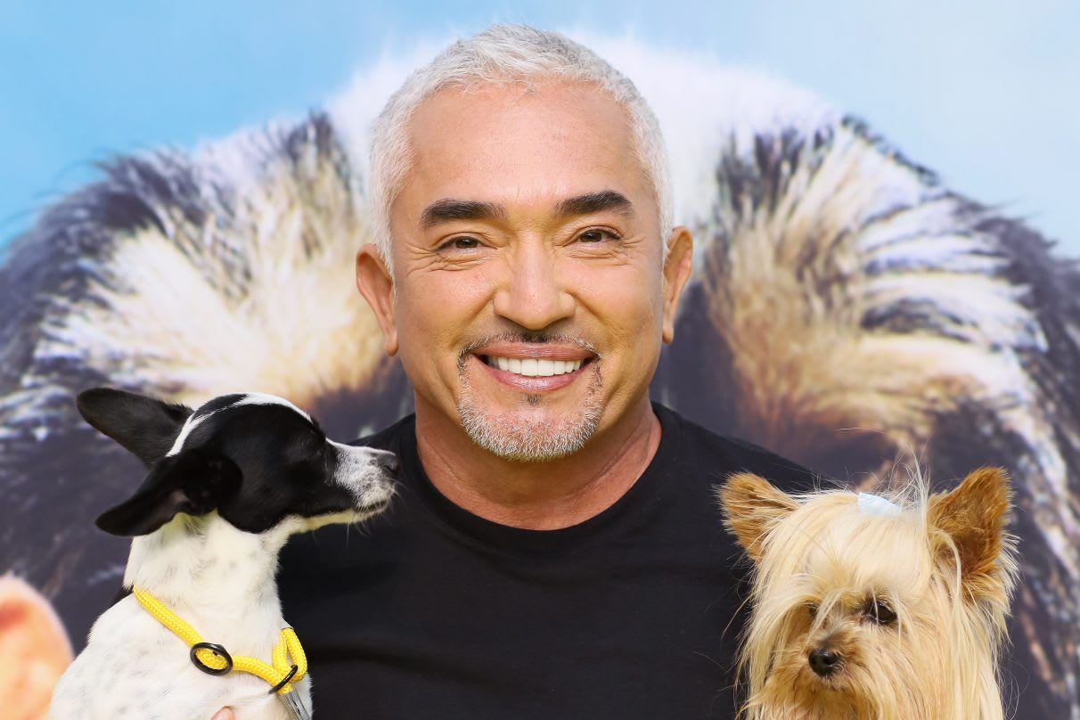 With so many people buying pets based on emotion, @cesarmillan says ...