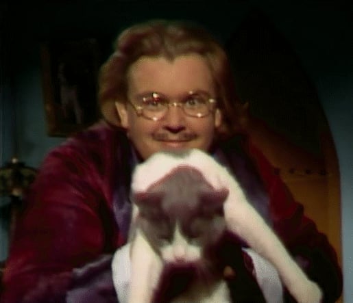 sloth unleashed on Tumblr