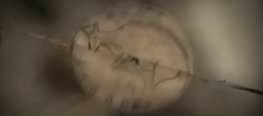 A 14000 year old bone pendant found in Laugerie-Basse (France) might ...